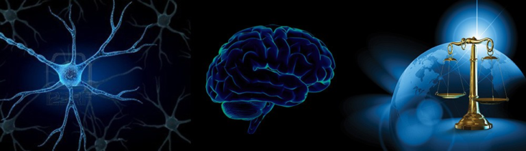 Using Neuroscience to Understand the Criminal Mind – Journal of Science ...